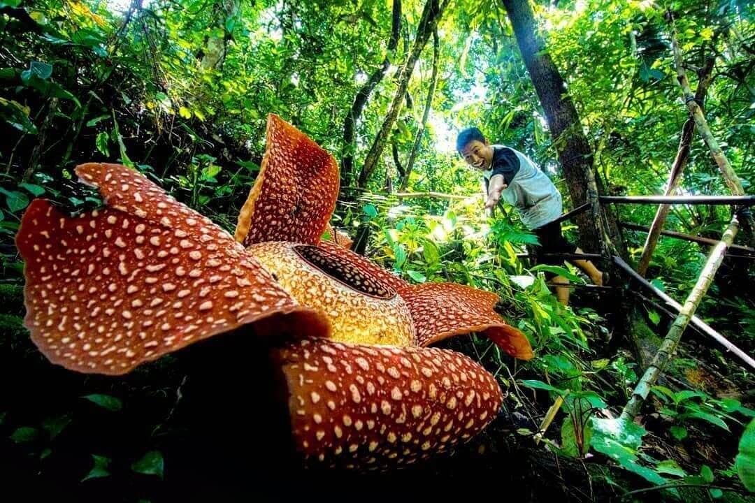 Wisata ke Pulau Sumatra - Jalan Jalan Yuk