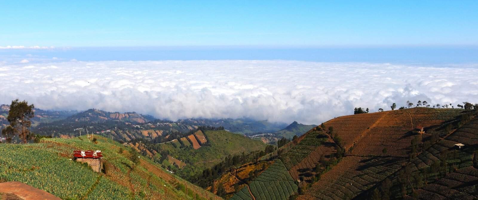 Wisata ke Puncak - Jalan Jalan Yuk