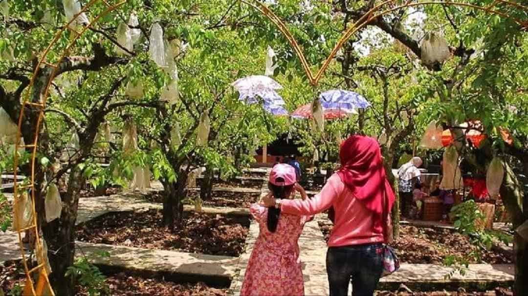 10 Tempat Wisata Tulungagung Wajib Dikunjungi