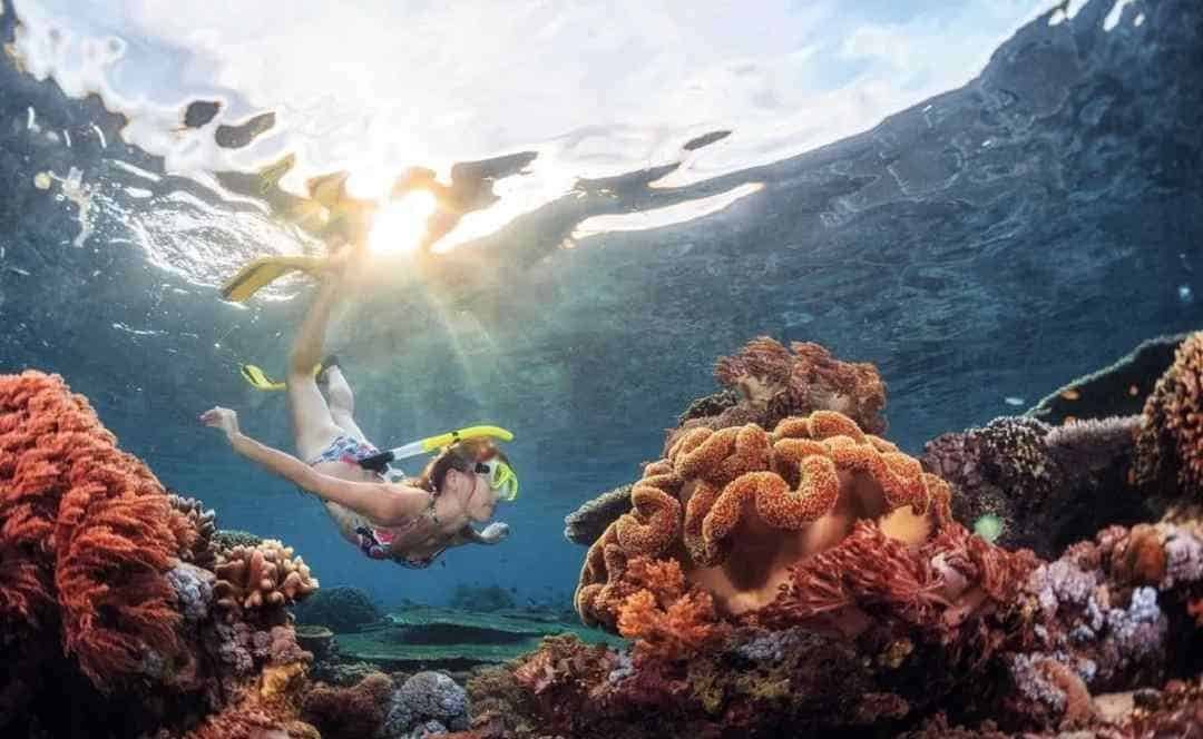 10 Rekomendasi Tempat Snorkeling di Bali Terbaik
