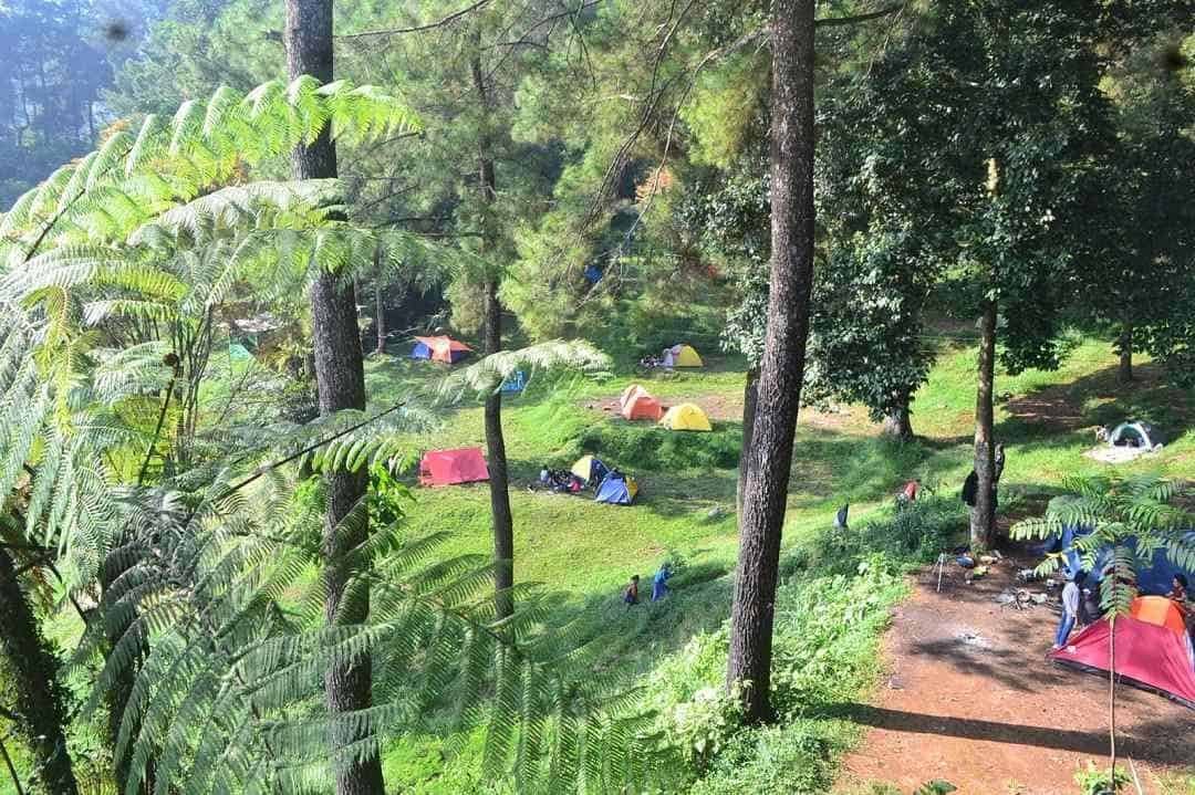 10 Tempat Camping Ground di Bogor, Cocok untuk Liburan