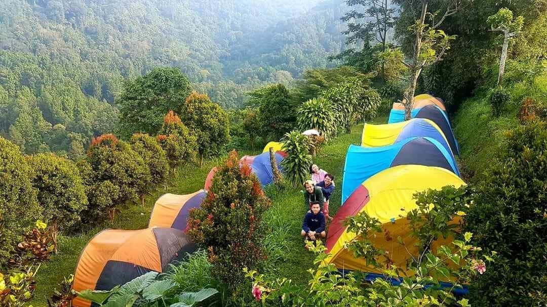 10 Tempat Camping Ground di Bogor, Cocok untuk Liburan