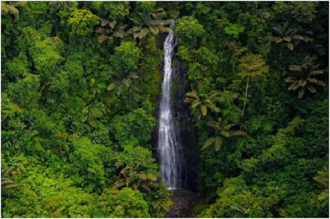 15 Destinasi Tempat Wisata Purbalingga, Wajib Dikunjungi!