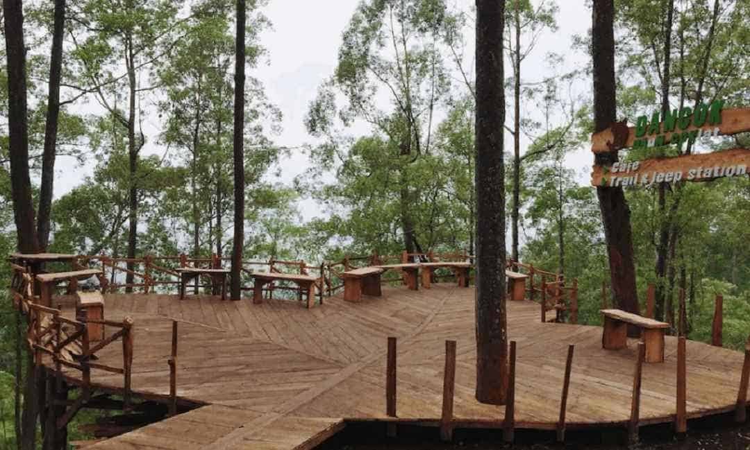 14 Cafe di Malang yang Hits dan Instagramable