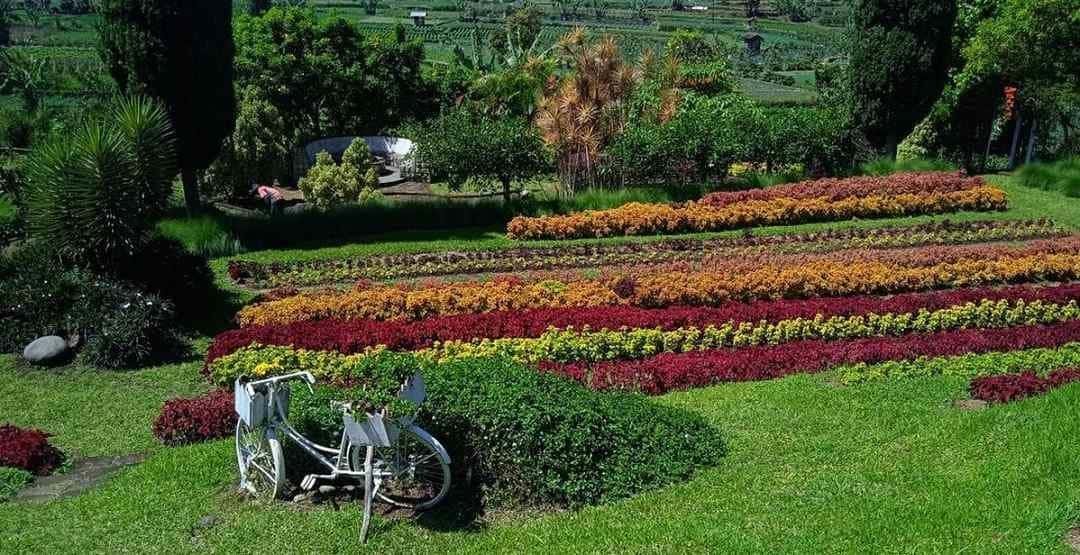 Ini Tempat wisata di ciwidey yang Hits dan Populer