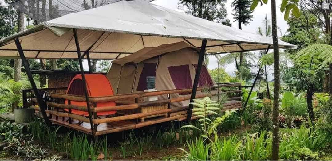 Rekomendasi Tempat Glamping Bogor, Cocok untuk Healing!